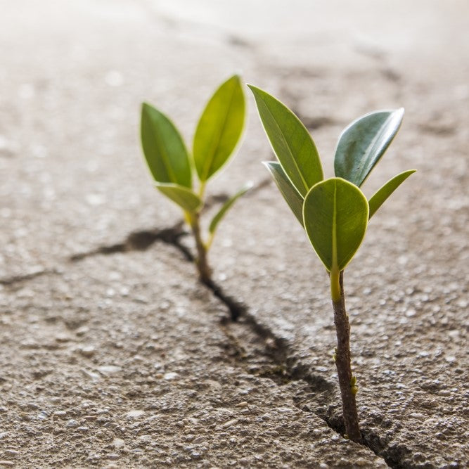 Book Review | A Fraction Stronger by Mark Berridge – Major Street ...